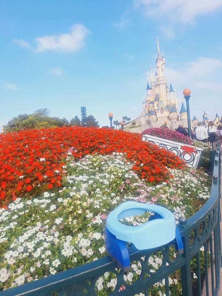 Potty Training at Disneyland Paris
